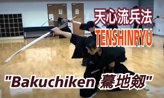 JAPANESE TRADITION TENSHINRYU HYOHO | TRANSMIT A TRADITION TO POSTERITY