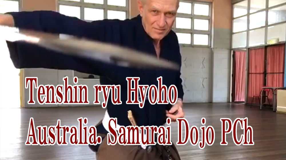 What Is Tenshinryu!?│JAPANESE TRADITION TENSHINRYU HYOHO