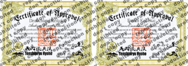 What Is Tenshinryu!?│JAPANESE TRADITION TENSHINRYU HYOHO