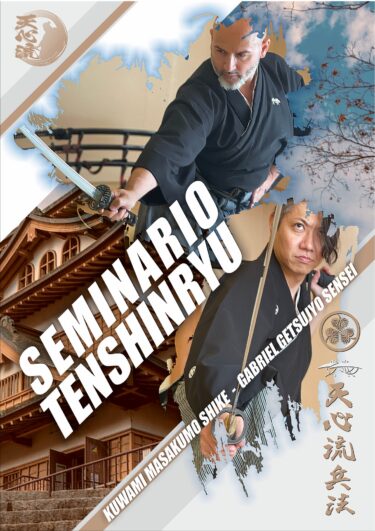What Is Tenshinryu!?│ JAPANESE TRADITION TENSHINRYU HYOHO